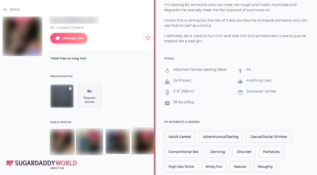 Ashley Madison.com Review: Is It Worth Trying for Sugar Affair?